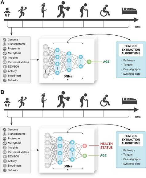 Training The Deep Neural Networks On Multimodal Longitudinal Data To Download Scientific