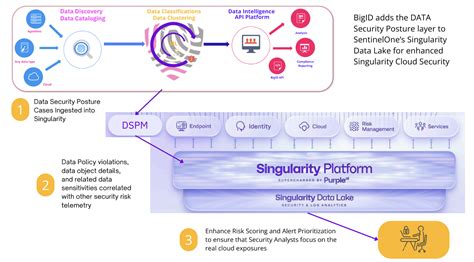 BigID SentinelOne First Of Its Kind DSPM Integration To Enhance Cyber Resilience BigID