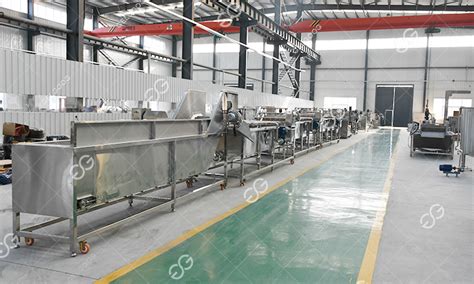 Model Project Report On Fruit And Vegetable Processing Unit