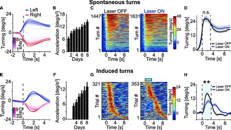 Motor Cortex Inhibition Delays Visually Guided Corrective Turns A