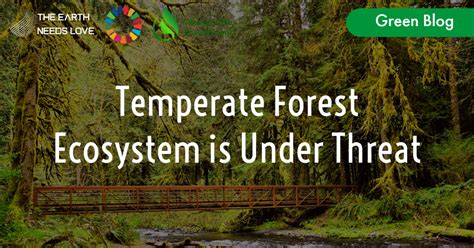 Temperate Forest Ecosystem Is Under Threat