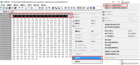 对python生成的exe文件 进行反编译pythonexe反编译工具 Csdn博客