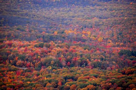 This Years Pennsylvania Fall Colors Map Is Finally Here