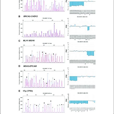 Examples Of Cnv Detection In The Genes Tested Comparison Of Wild Type