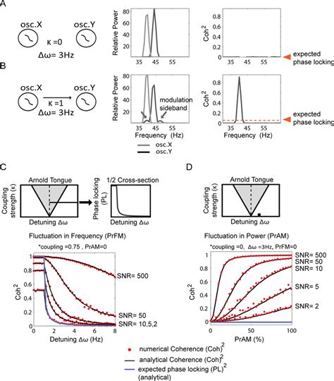 Analytical And Numerical Results Of Coherence Estimation Of
