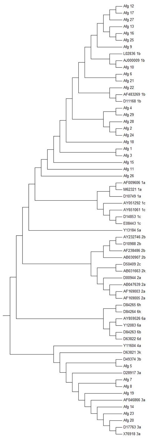 Applying The Bootstrap In Phylogeny Reconstruction Researchgate
