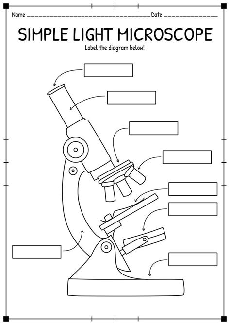 Light Microscope Diagram Worksheet Microscope Microscope Parts Worksheets
