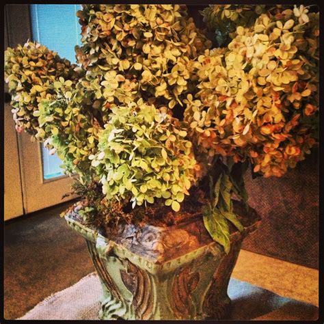 Fall Dried Hydrangea Arrangement