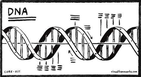 Dna Visual Frameworks