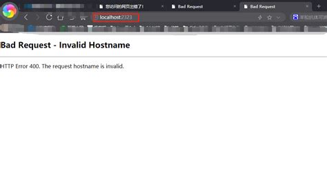 ip授权后使用localhost访问报400错误 feplat社区
