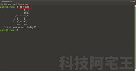 [linux] ubuntu apt 指令更新、升級、移除、安裝套件教學 科技阿宅王