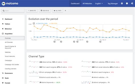 Simplify Your Business Technology With Matomo Consulting And Development Services