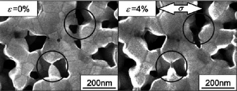 Microstructures Of Sintered Nano Sized Ag Particles Before And After
