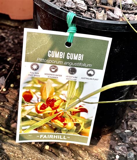 The Edible Garden — Dalby Garden Centre