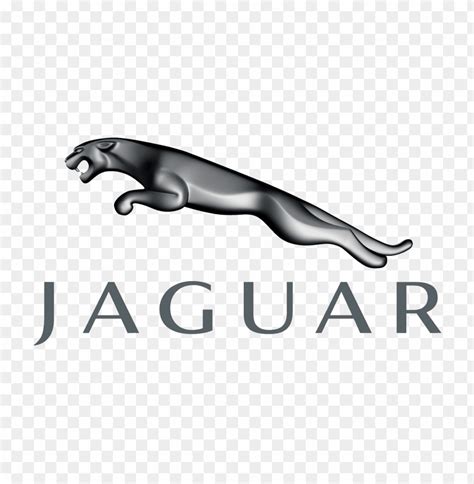 Free Download Hd Png Jaguar Leaping Cat Png Png Free Png Images Id