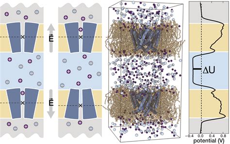 Highlights — Gromacs Webpage Documentation