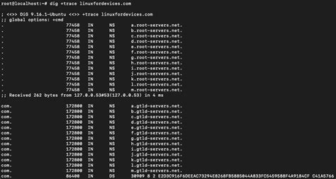 Dig Command In Linux For Dns Lookups Linuxfordevices