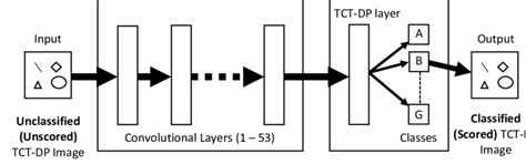 Convolutional Neural Network For Figural Creativity Assessment Download Scientific Diagram