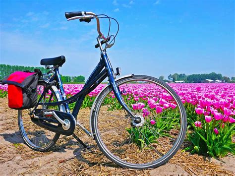 Spring And Easter Cycling Holidays Freedom Treks