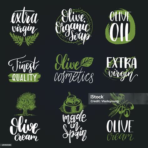 벡터 핸드 레터링 올리브 생산 표지판입니다 레트로 농장에 대 한 설정 하는 엑스트라 버진 오일 일러스트 스케치 나 화장품 생산 배지 태그 카페 포장 디자인 등 건강한