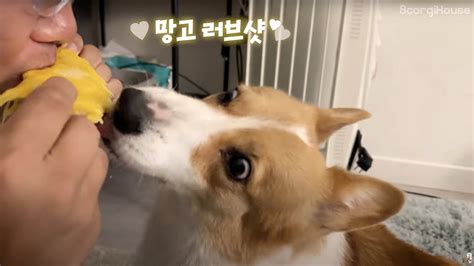 외동놀이를 계속하려면 아빠와의 어색한 시간도 견뎌내야한다 😜 Youtube