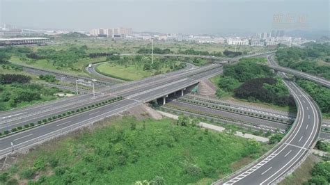 江西大余县高速惊现大鸟 竟是国家一级保护动物秃鹫 凤凰网视频 凤凰网