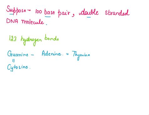 Solved Suppose A 100 Base Pair Double Stranded Dna Molecule Consists