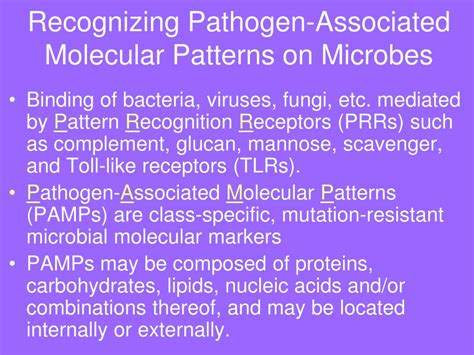 Ppt Clues To Understanding The Innate Immune Response Powerpoint