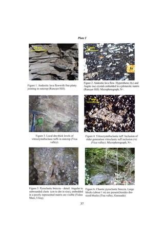 Petrography Geochemistry And Age Of Volcanic Rocks In The Gurasada Area Northern Apuseni MTS PDF