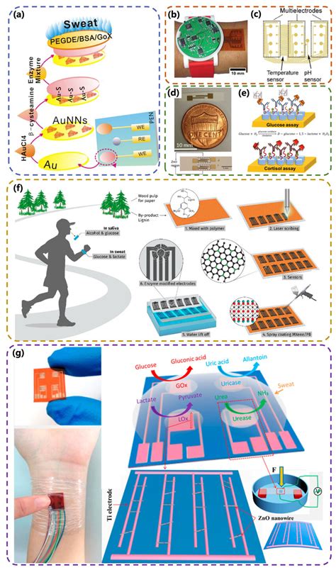 A Schematic Diagram Of A Flexible Wearable Electrochemical Sensor For Download Scientific