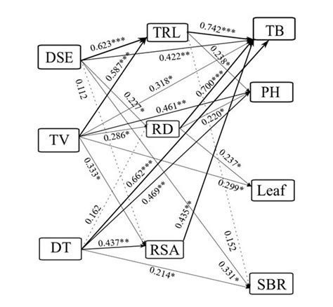 Structural Equation Model Sem Showing The Causal Relationships Among