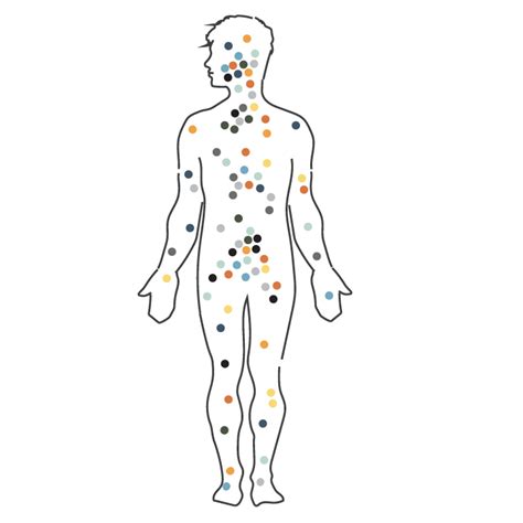 Faq Cbd And The Endocannabinoid System Fringe Plants