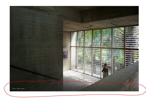 Removing Caption Color Overlay From Gallery Block Customize With Code