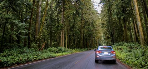 Olympic Peninsula Land For Sale At Zoe Bastyan Blog