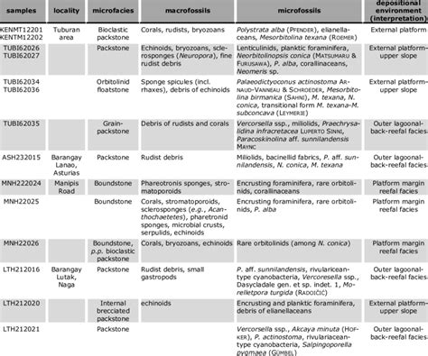 Microfacies Macrofossils And Observed Micropalaeontological Download Scientific Diagram