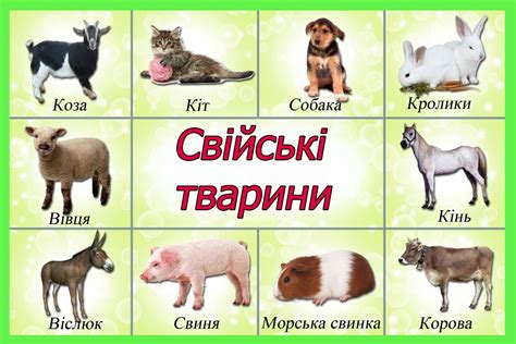 Картинки домашних животных для детей распечатать цветные