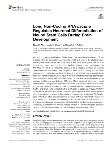PDF Long Non Coding RNA Lacuna Regulates Neuronal Differentiation Of Neural Stem Cells During