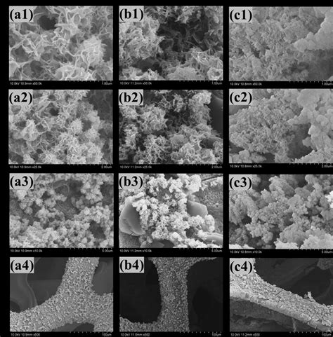 Field Emission Scanning Electron Microscope Of A1 A4 Mfs 10 B1 B4