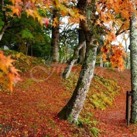 Ако сте Рак Скорпион или Риби в петък Съдбата ще бъде на ваша страна Близнаци Везни и Водолей
