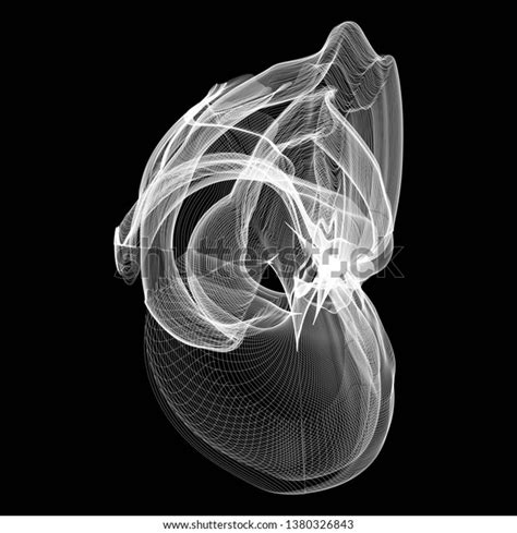 Complex Wireframe Structure Formed By Interweaving เวกเตอร์สต็อก ปลอด