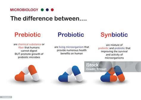 Microbiology Diagram Explain The Difference Between Prebiotic Probiotic