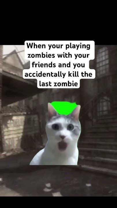 Hate When This Happens 😂 Cod Codzombiememes Codbo3 Codbo1 Codbo2 Youtube