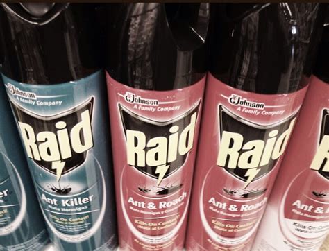 Does Raid Kill Bed Bugs