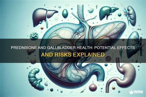 Prednisone And Gallbladder Health Potential Effects And Risks