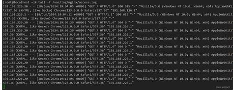 Nginx Proxy 代理测试测试nginx反向代理有没有成功 Csdn博客