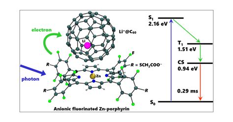 Anionic Fluorinated Zn Porphyrin Combined With Cationic Endohedral Li Fullerene For Long Lived