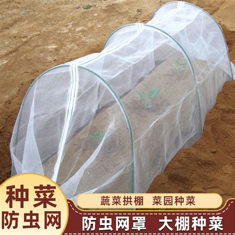 防虫网蔬菜大棚菜园植物种菜防寒罩蔬菜支架草莓多肉园艺架子网罩 虎窝淘