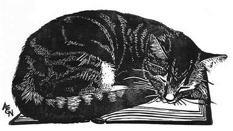 Curled Up Cat Drawing At PaintingValley Com Explore Collection Of Curled Up Cat Drawing