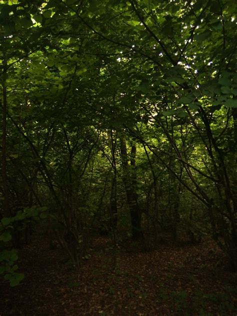 Épinglé Par Ania Sur фотографую те що для мене красиве