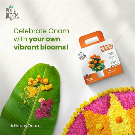 Anand Rangachari On Linkedin Happy Onam